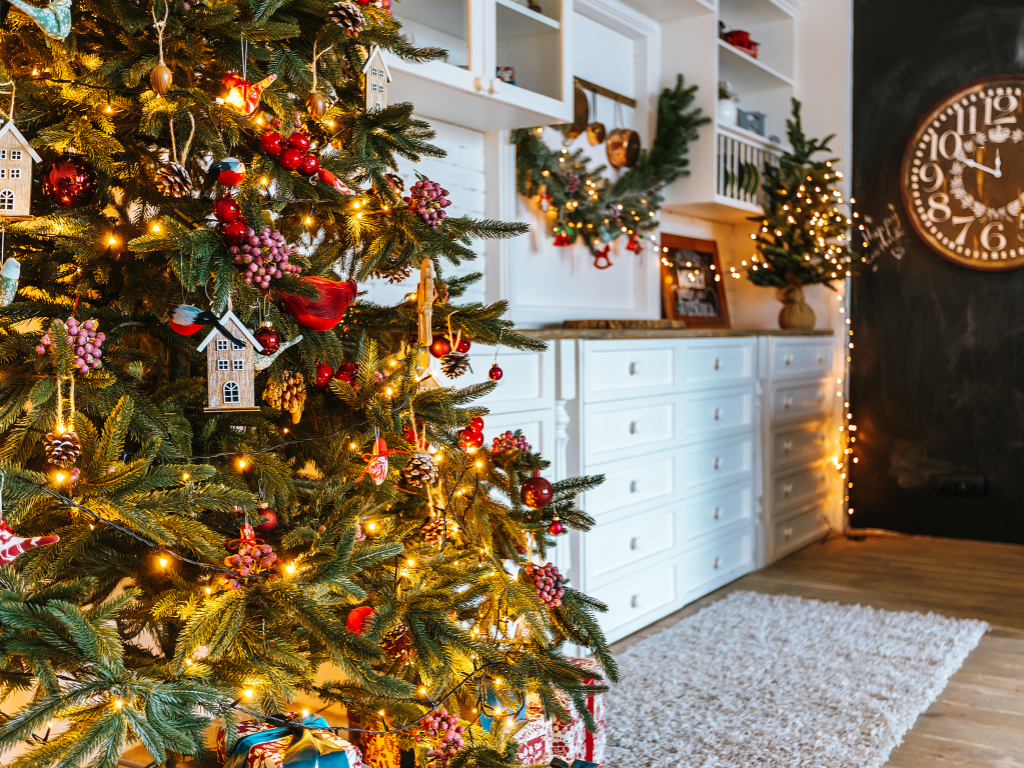 How To Make A live Christmas Tree Last | Johnsons Ace Hardware